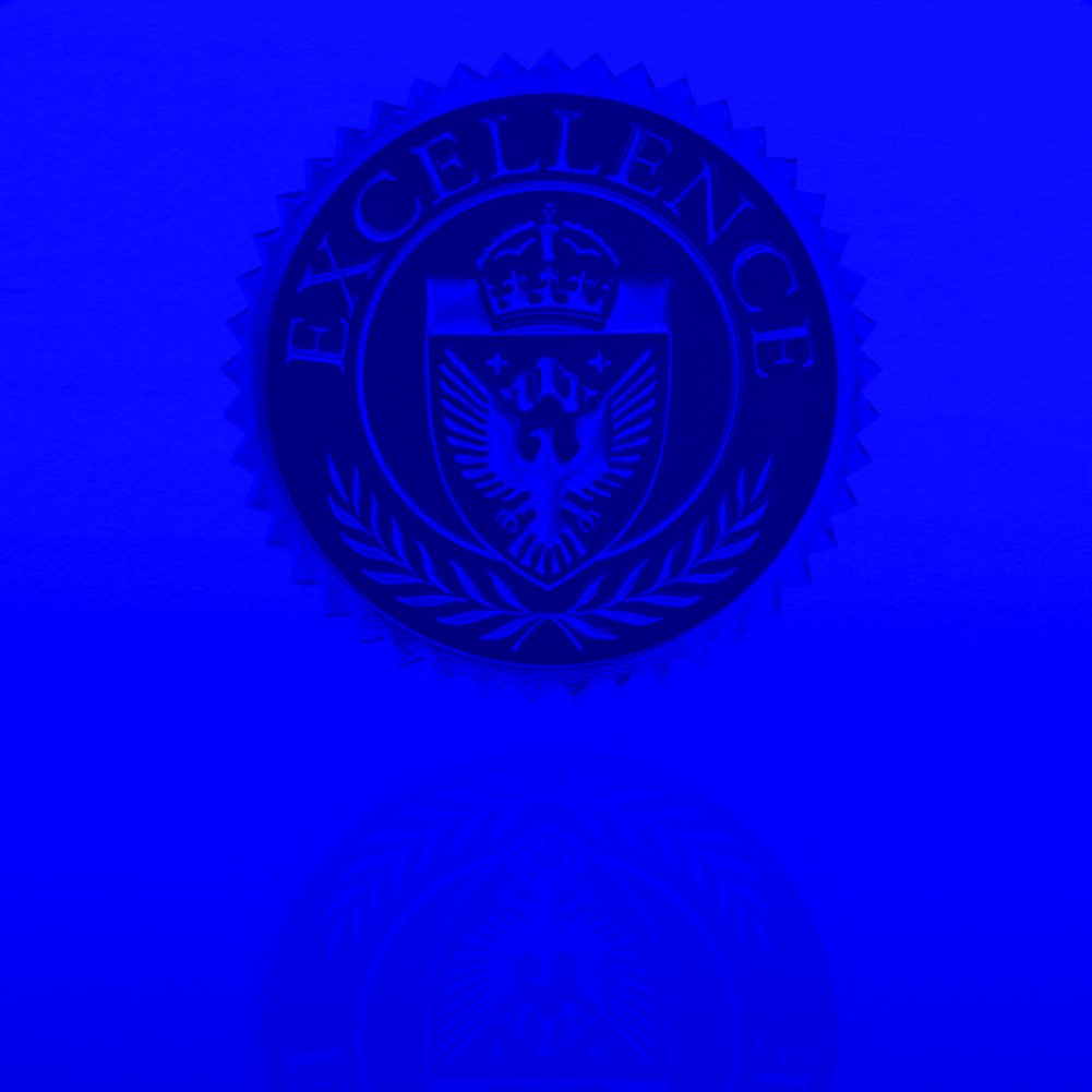 Certificate Seal with Ribbon - Excellence - Blue/Gold - Baudville