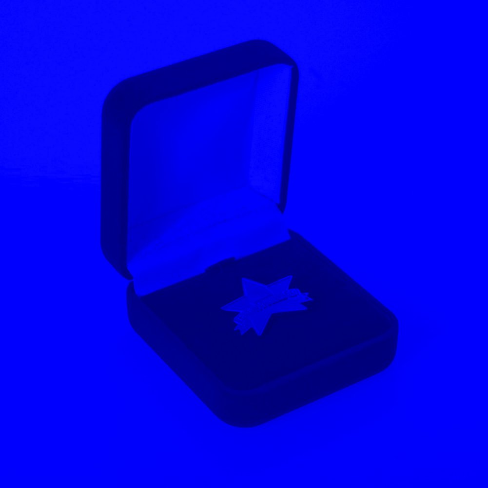 Anniversary Lapel Pin - Service Award Star - Baudville