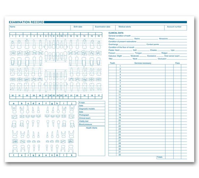Dental Charting Template