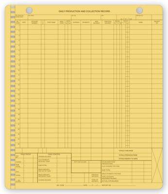 Business Forms - Data Board Daysheet - 811 by Deluxe