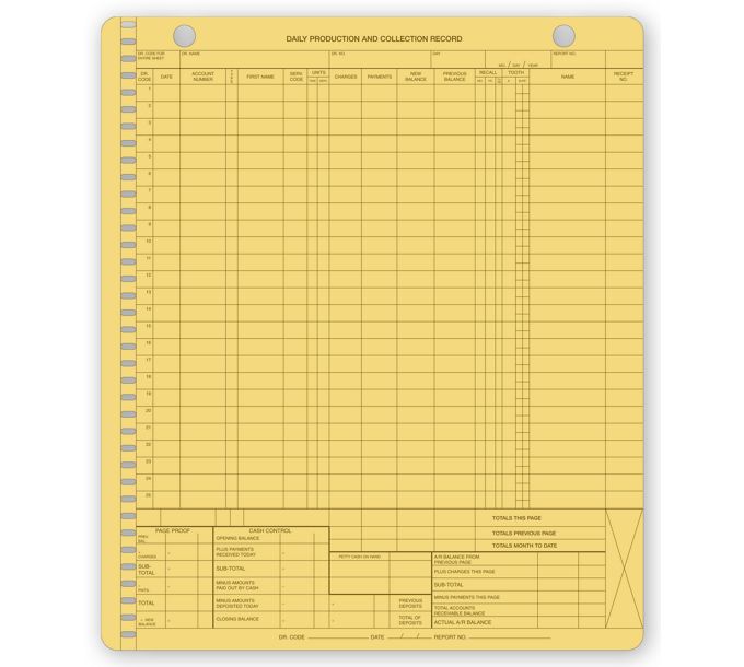 Business Forms - Data Board Daysheet - 811 by Deluxe