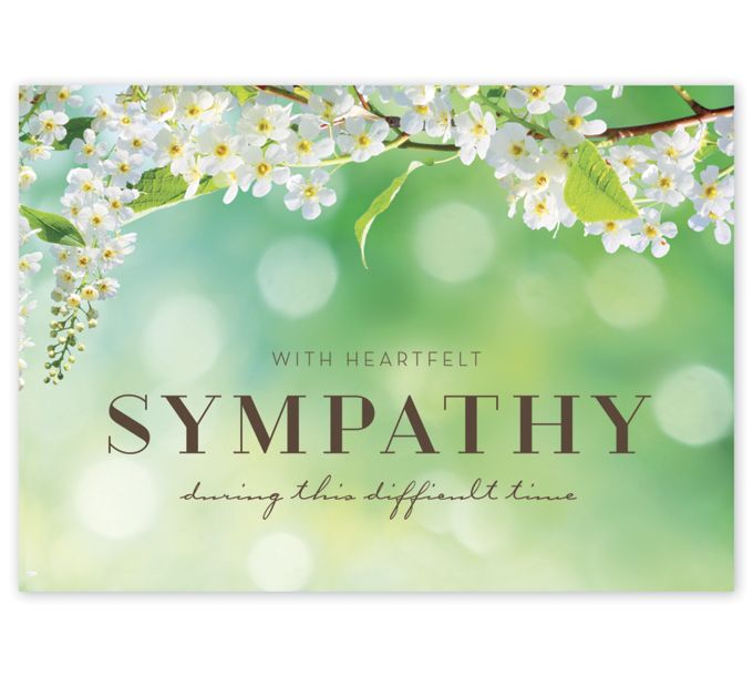 Spring Blossoms Sympathy Greeting Cards \ Deluxe | Deluxe.com