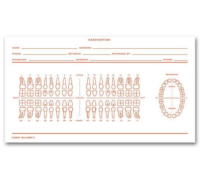 Business Forms - Numbered Teeth System C Dental Exam Record Slips ...