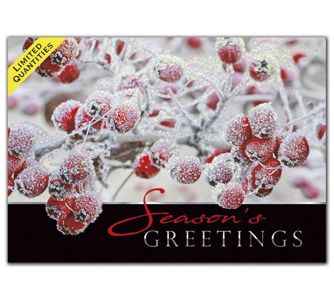 Sugar Berries Holiday Cards - Deluxe | Deluxe.com